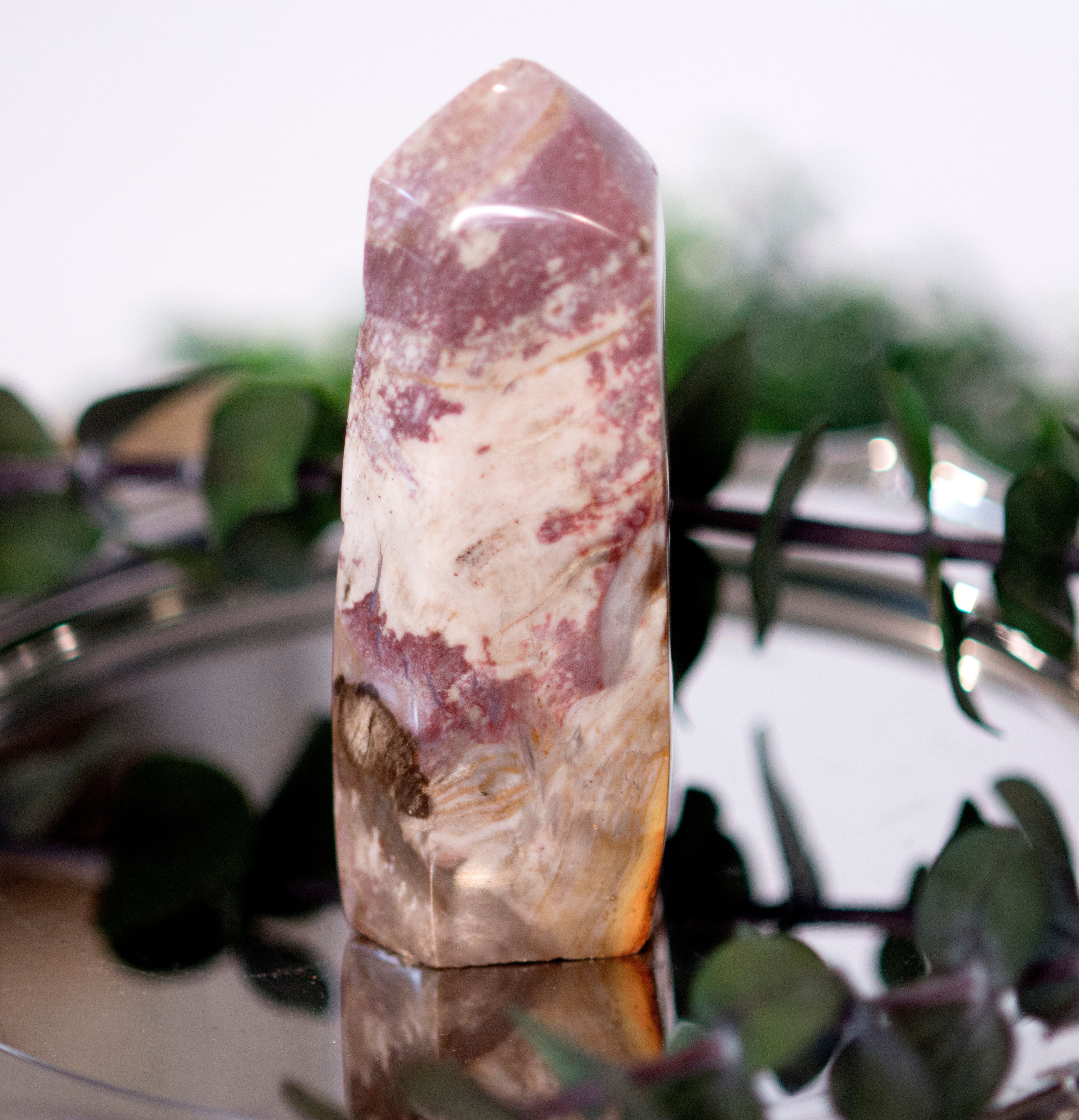 PETRIFIED WOOD POINT